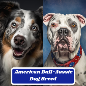 American Bull-Aussie Dog Breed: Information, Appearance, and ...